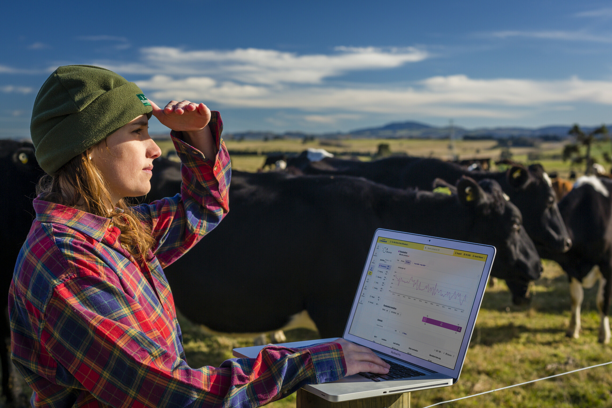 Why tracking livestock weight matters | Datamars Livestock